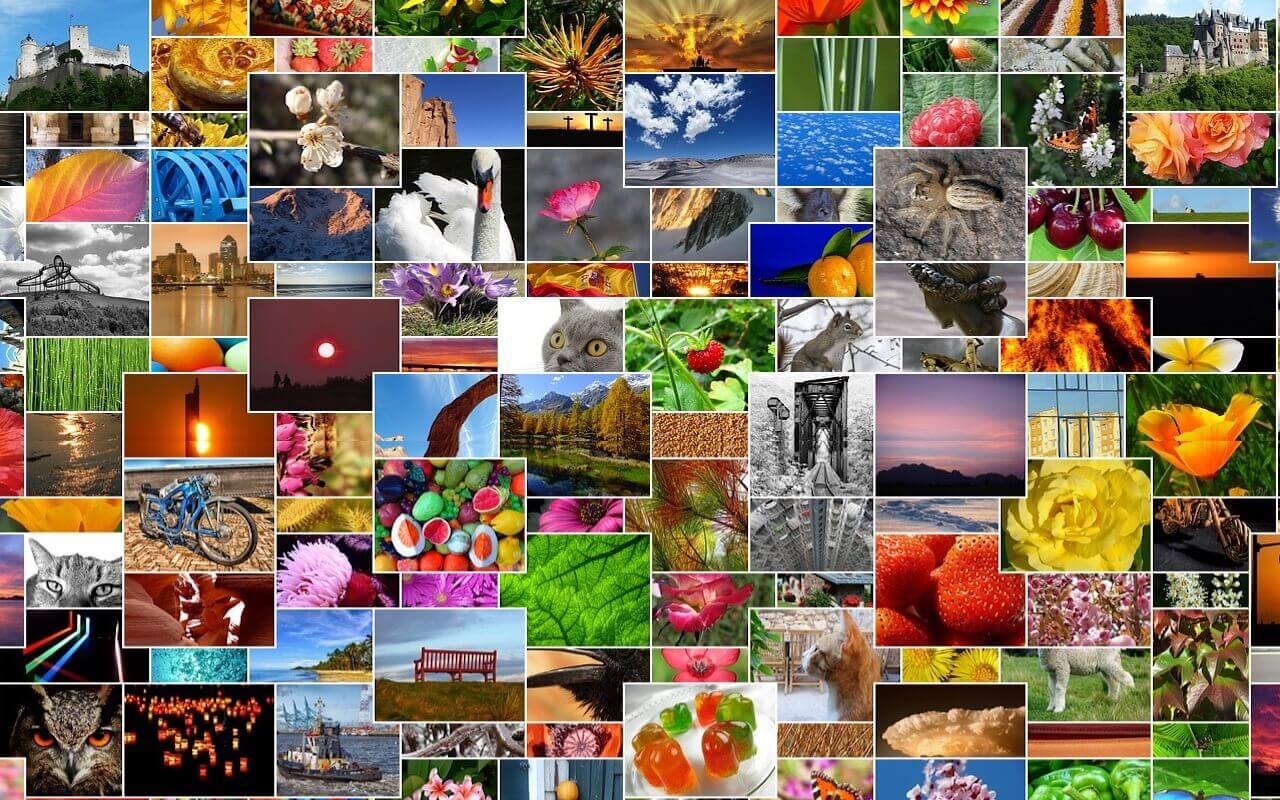 Remember That You Can Search for Nearly Anything in Your Photos Library ...